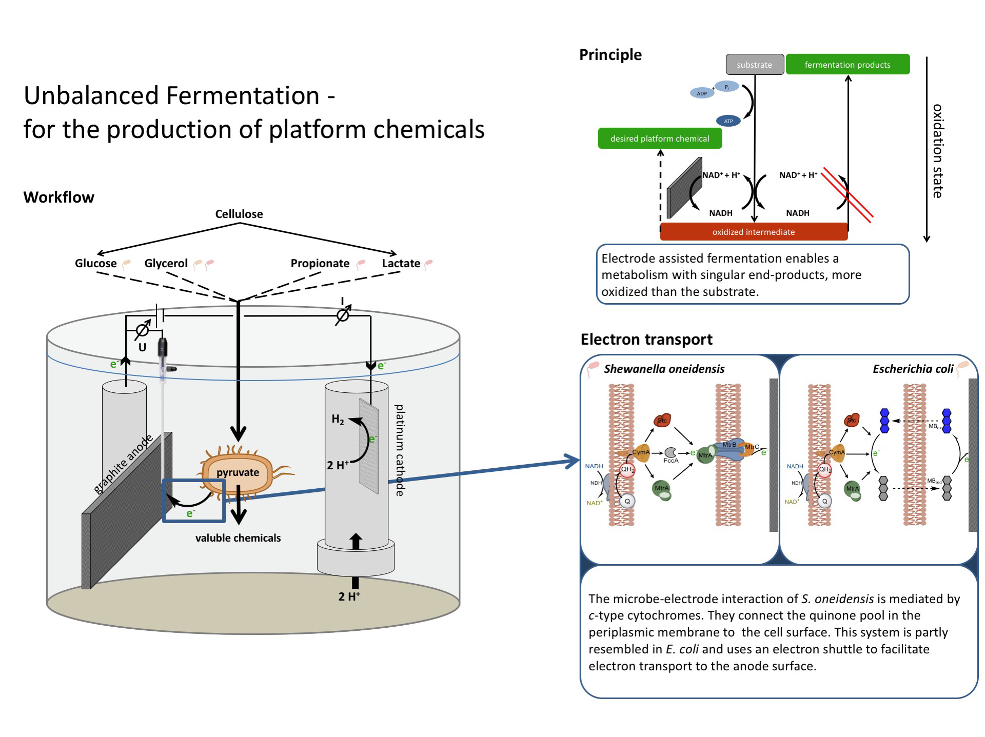 RESEARCH | KIT | APPLIED BIOLOGY