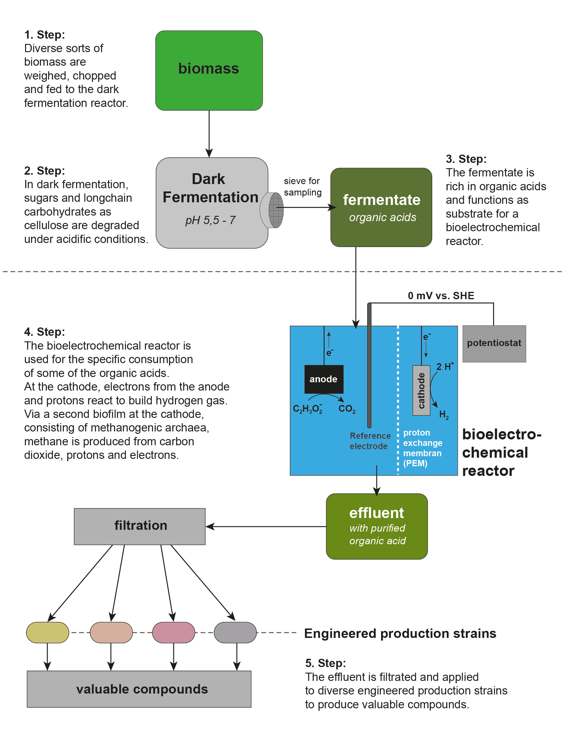 RESEARCH | KIT | APPLIED BIOLOGY