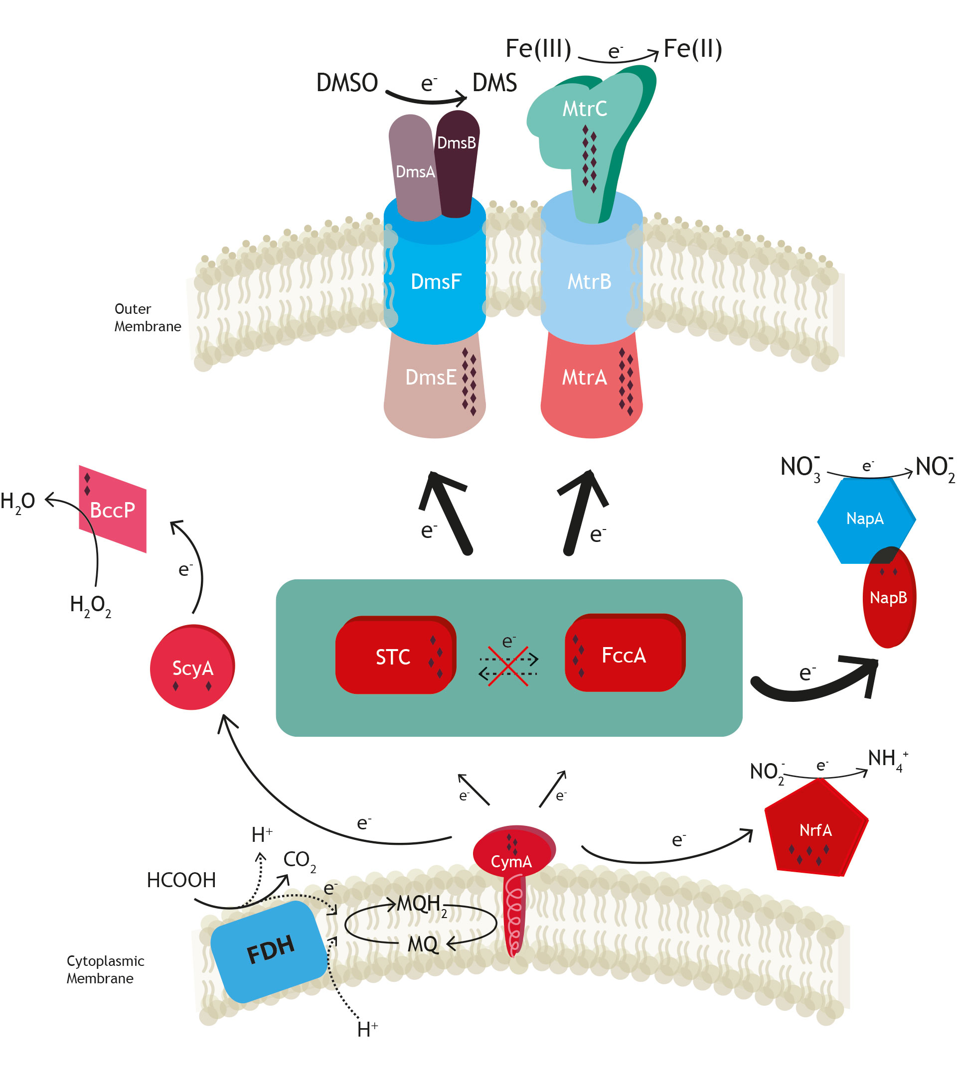 RESEARCH | KIT | APPLIED BIOLOGY