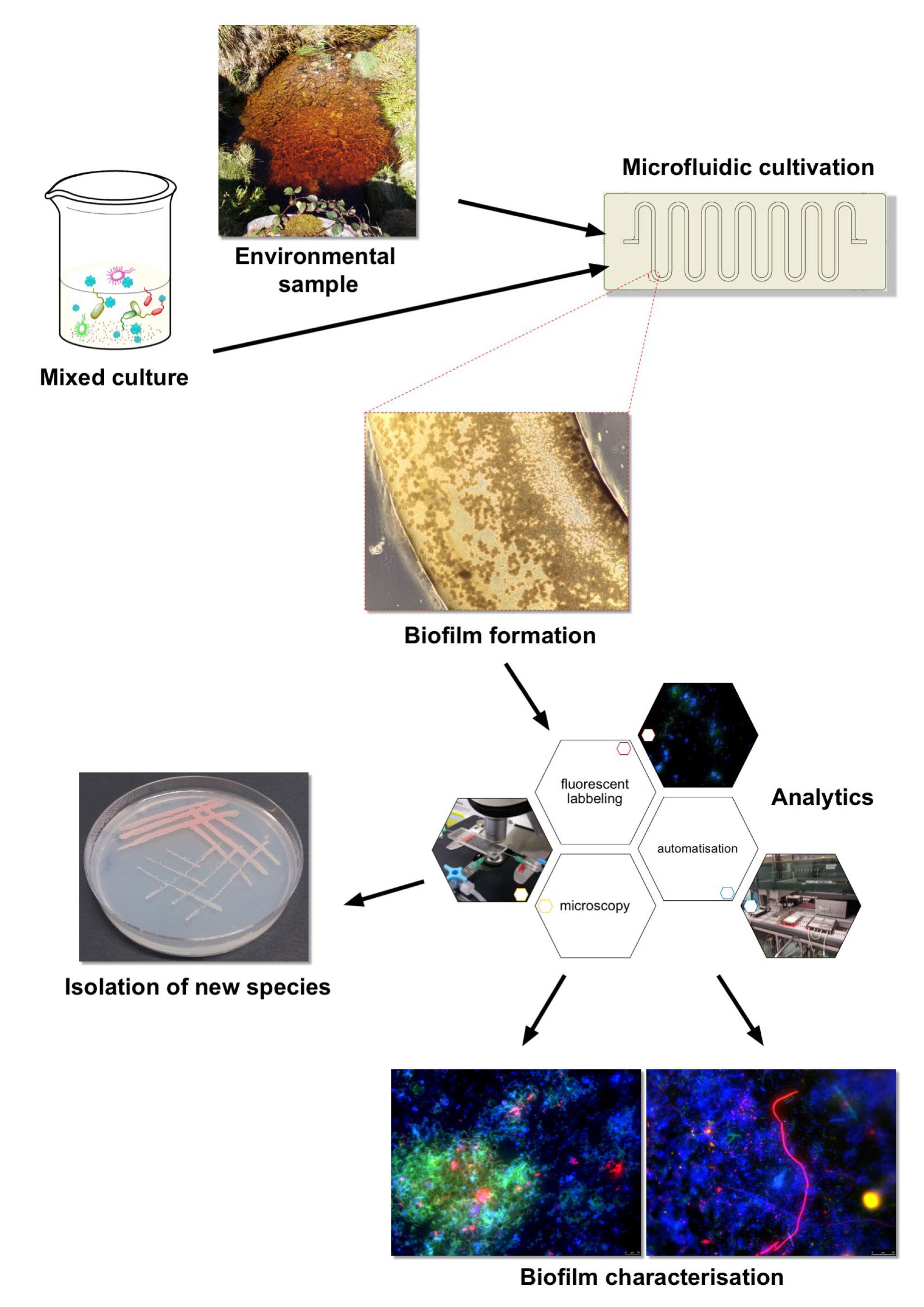 RESEARCH | KIT | APPLIED BIOLOGY